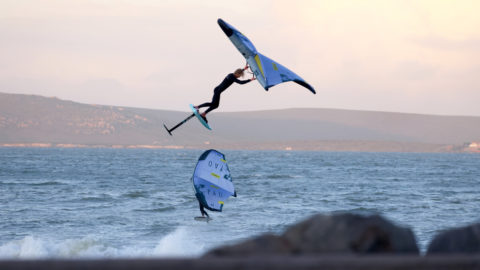 TAO1 | FLYSURFER